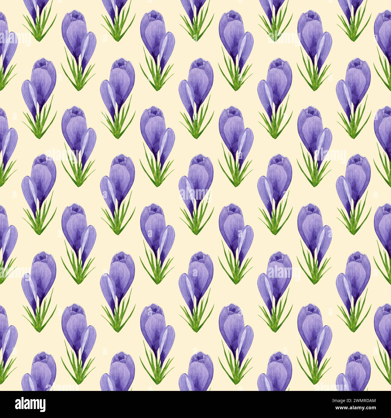Watercolor purple crocuses seamless pattern, spring flower digital ...