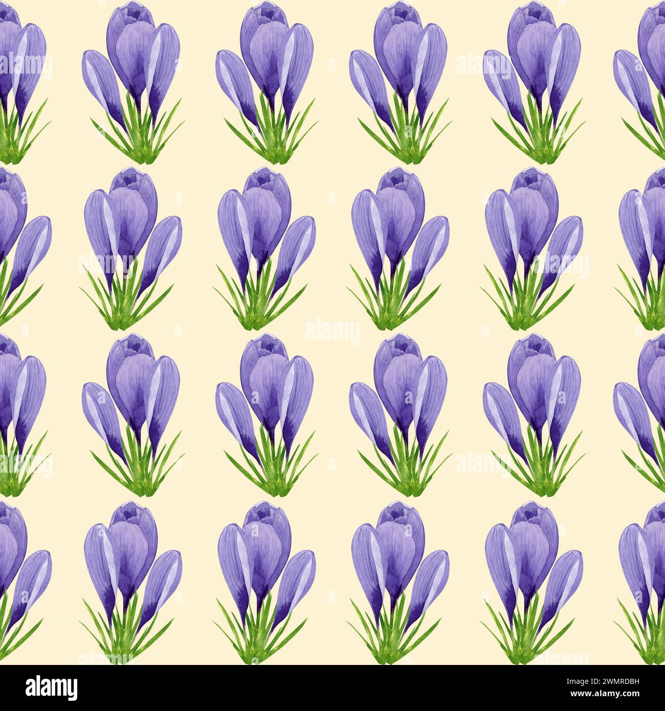 Watercolor purple crocuses seamless pattern, spring flower digital ...