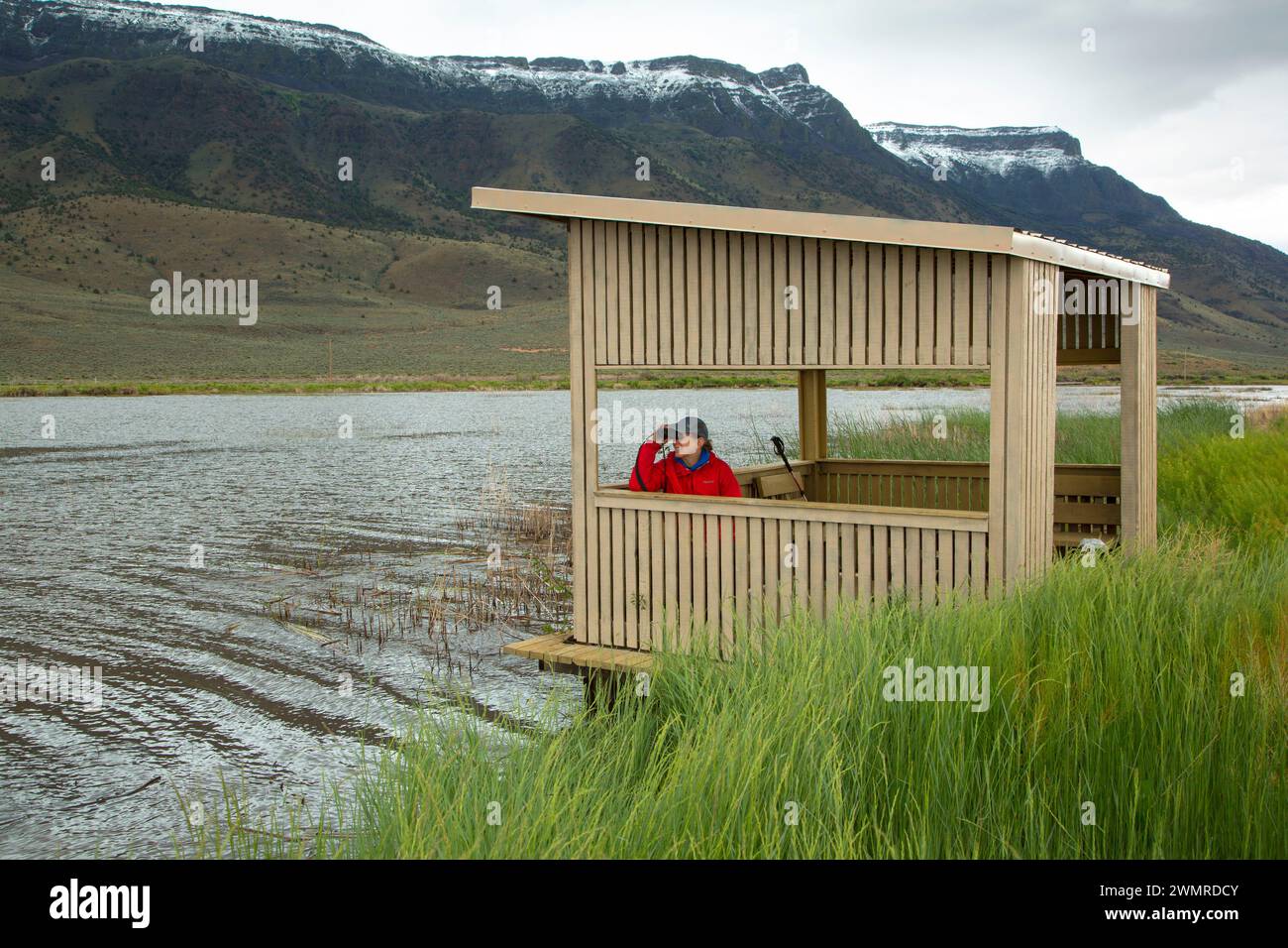 Birding at Warner Wetlands Interpretive Site, Warner Wetlands Area of ...