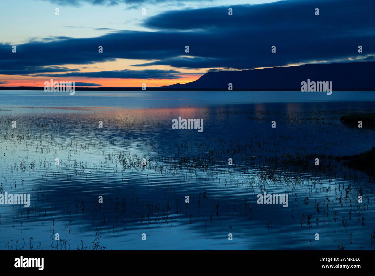 Poker jim ridge hi-res stock photography and images - Alamy