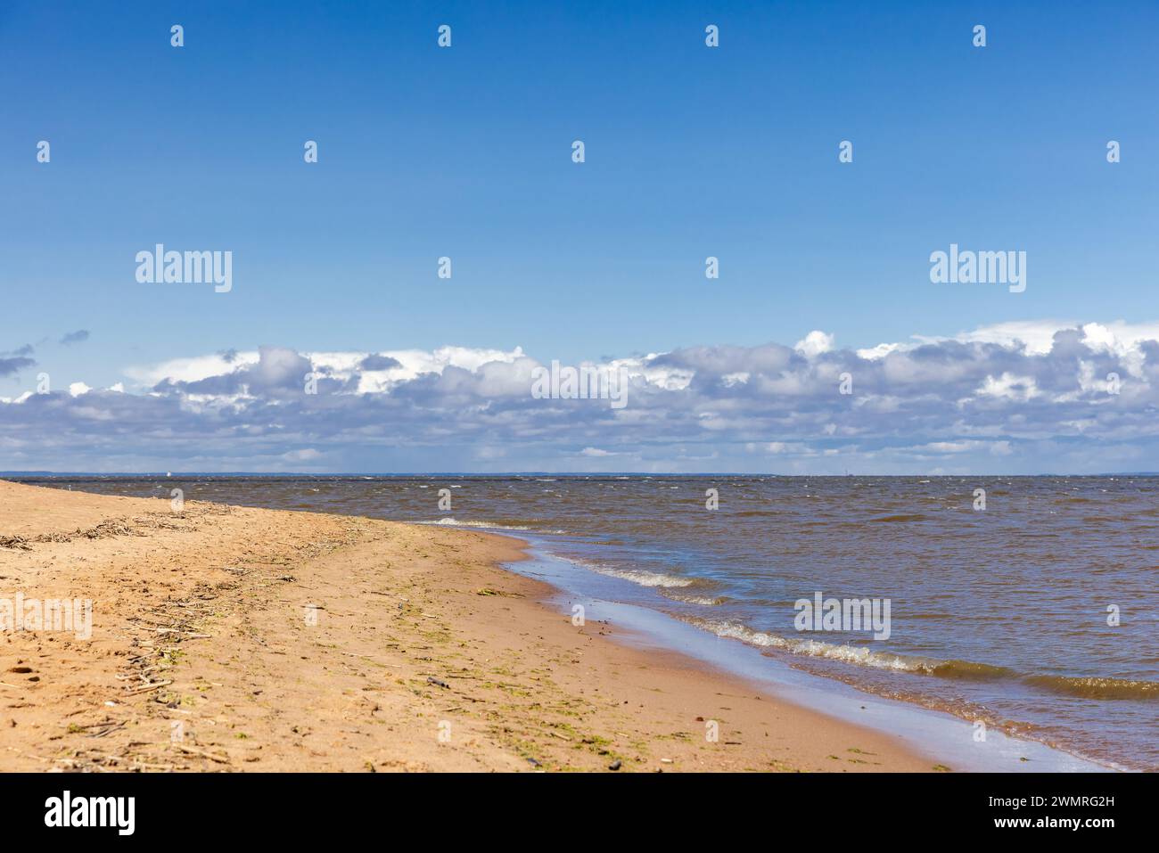 Gulf of Finland, Baltic sea coast. Natural landscape with sand and ...