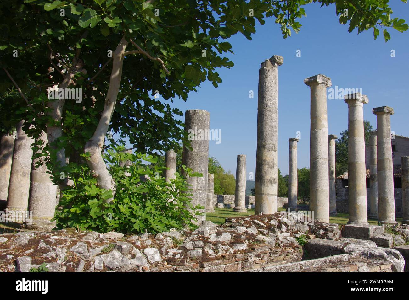 Archaeological site of Altilia: remains of columns indicating where the ...