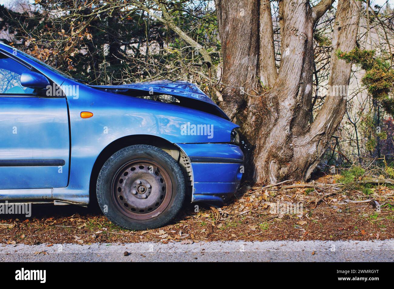 Car crashed into tree hi-res stock photography and images - Alamy