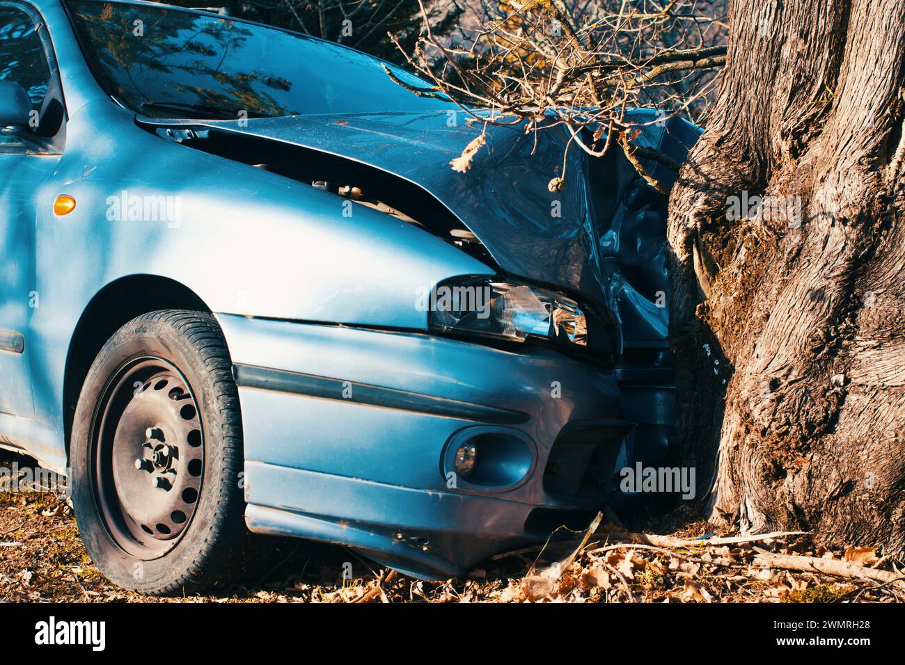 Details of a damaged car crashed against a tree Stock Photo - Alamy
