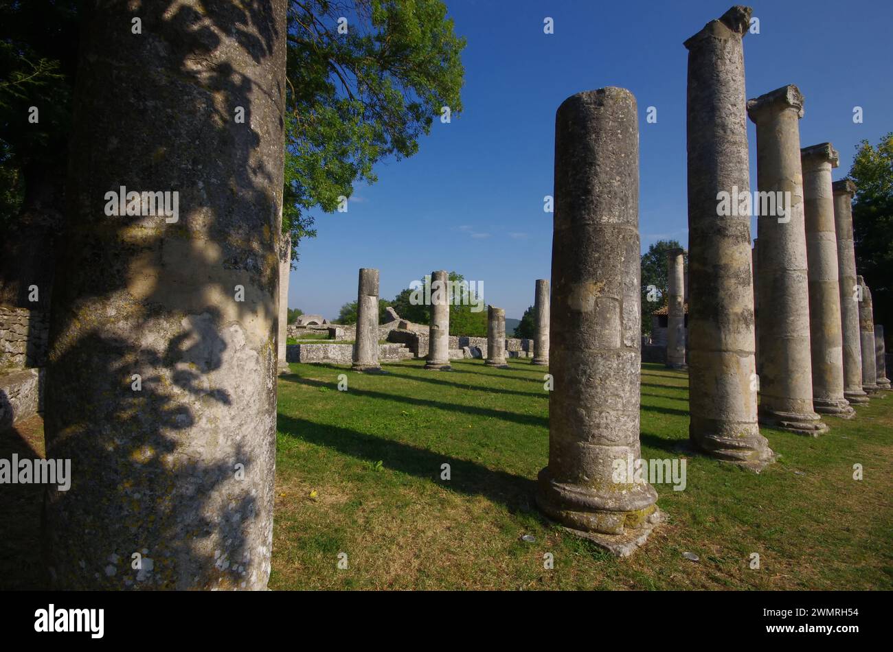 Archaeological site of Altilia: remains of columns indicating where the ...