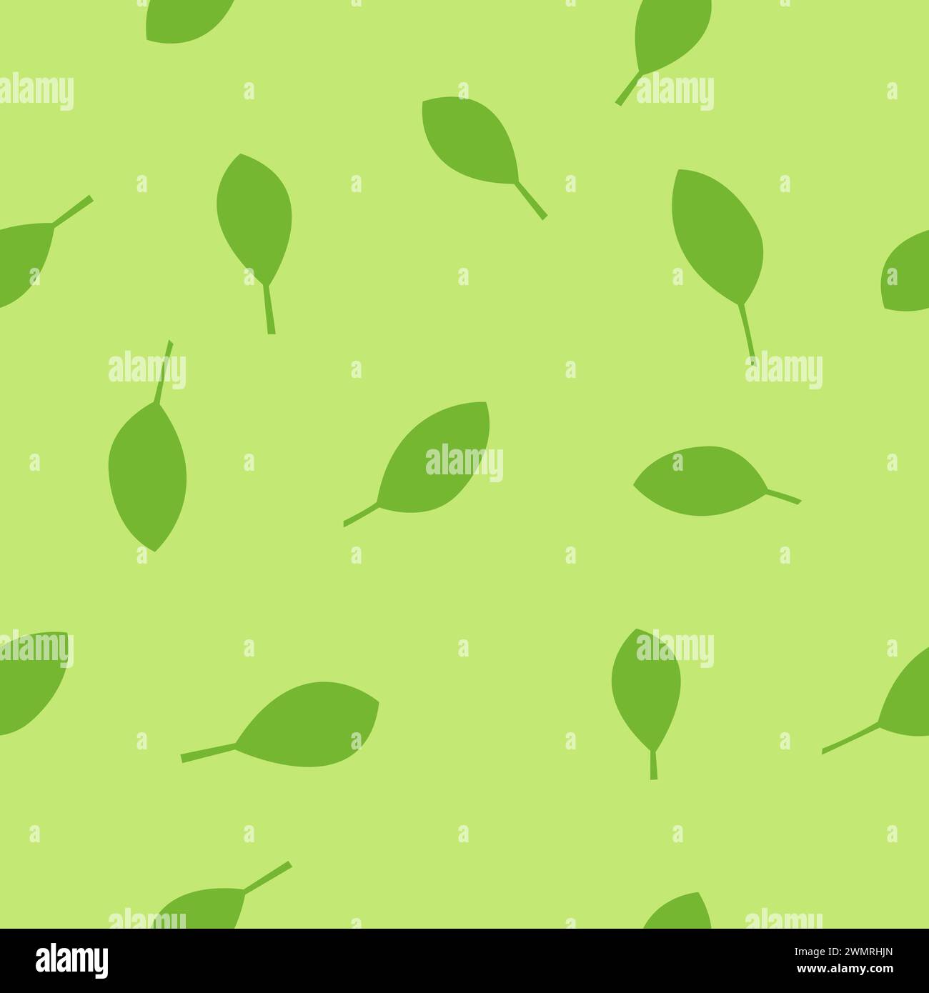 Green oregano Stock Vector Images - Alamy