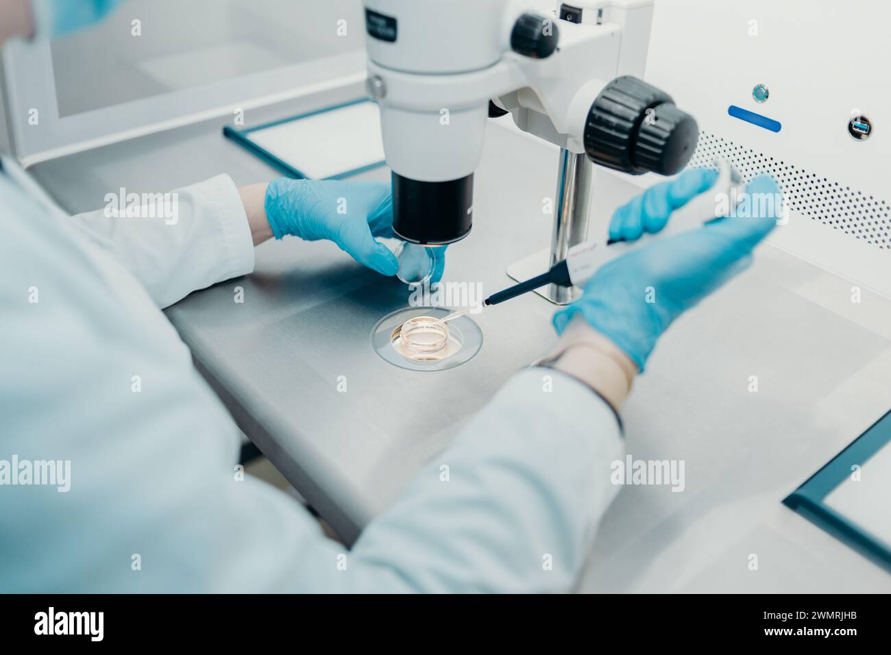 Embryology hi-res stock photography and images - Alamy