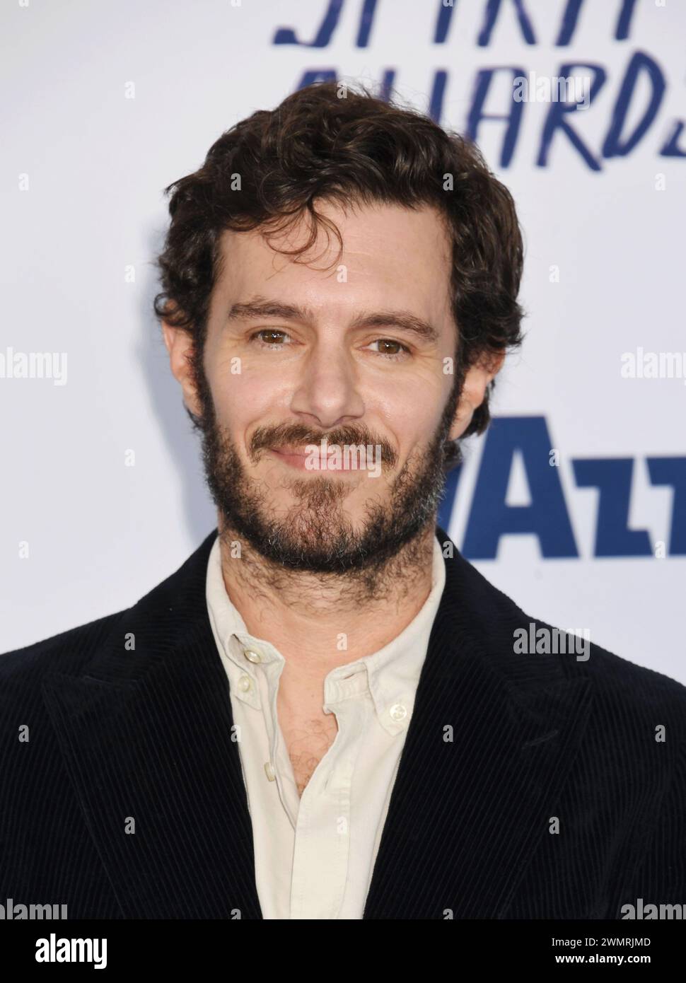 SANTA MONICA, CALIFORNIA - FEBRUARY 25: Adam Brody attends the 2024 ...