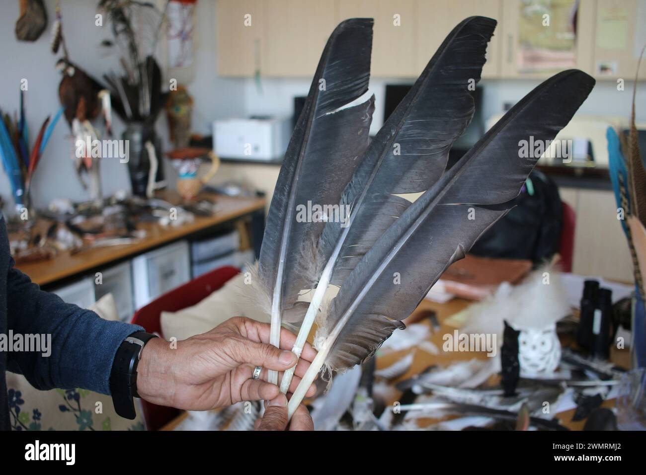 Non-eagle bird carcasses and bird feathers are stored at the Liberty ...