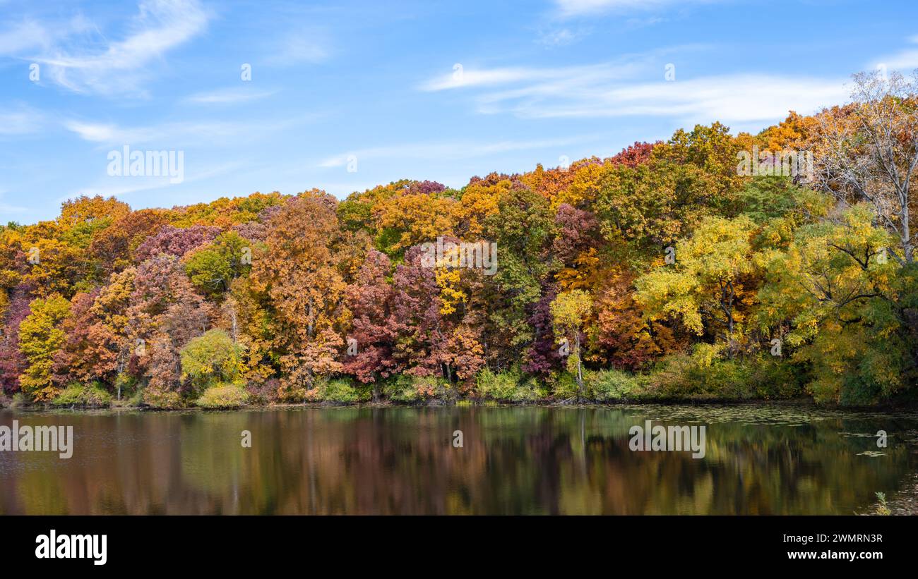 Autumn colors reflecting in Heron Lake, Lakeshore Trail, Holly ...