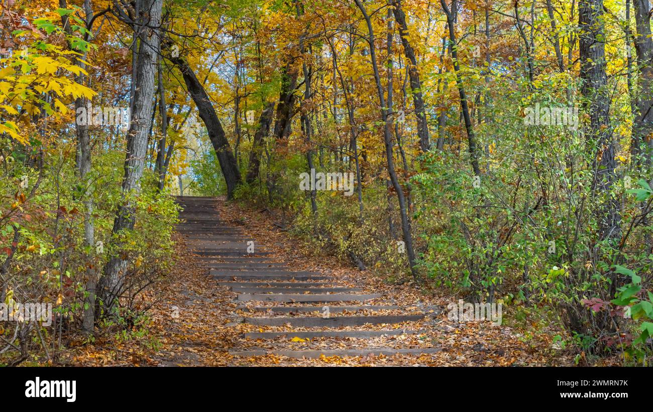 Autumn colors on a connector trail, Holly Recreation Area, near Holly ...