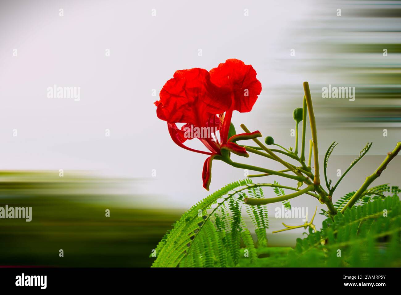 University technogi petronas hi-res stock photography and images - Alamy