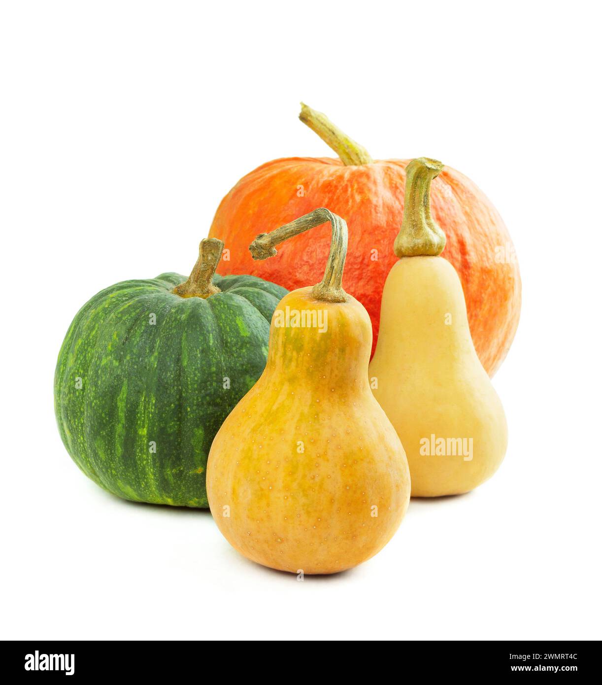 Diversity of varieties Cut Out Stock Images & Pictures - Alamy