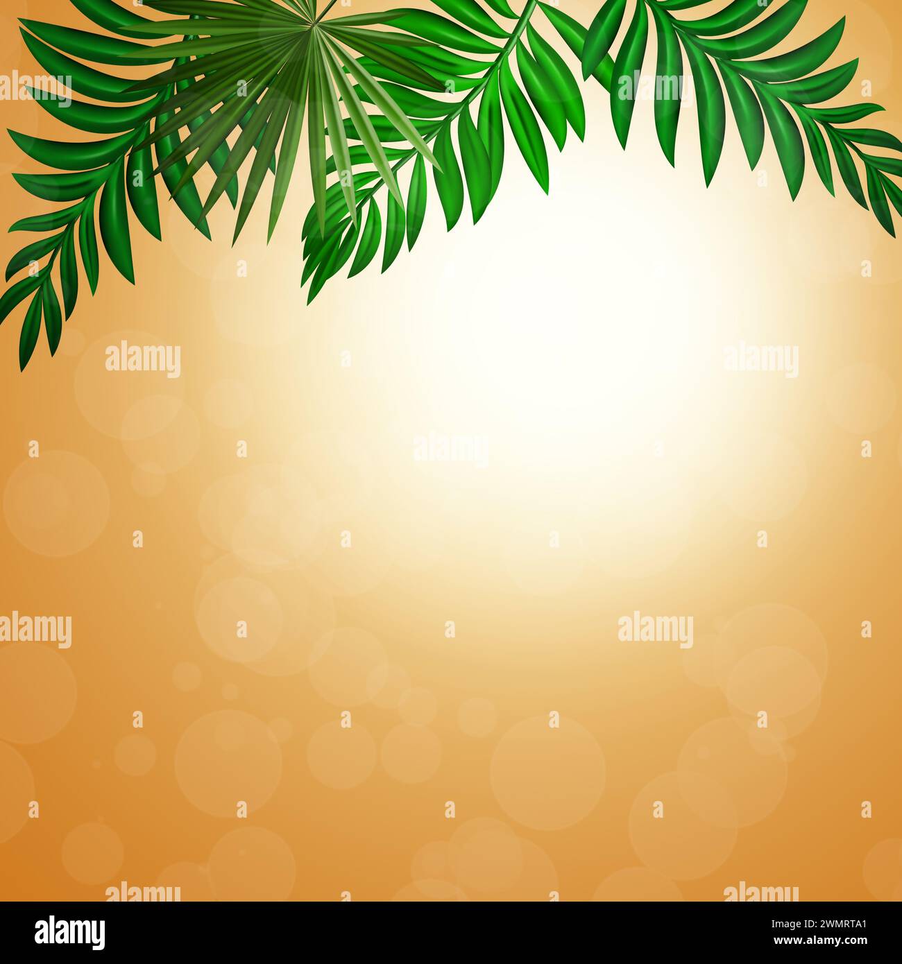 Blurred tropical summer background with bokeh and leaves. Advertising ...