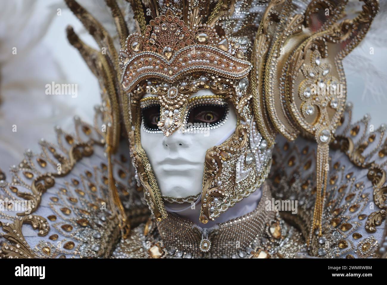 Venice, Italy. 08th Feb, 2024. A participant seen wearing fancy costume ...