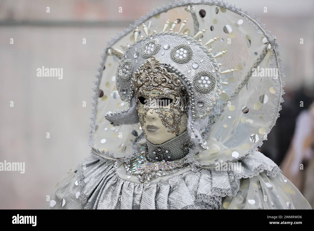 Venice, Italy. 08th Feb, 2024. A participant seen wearing fancy costume ...