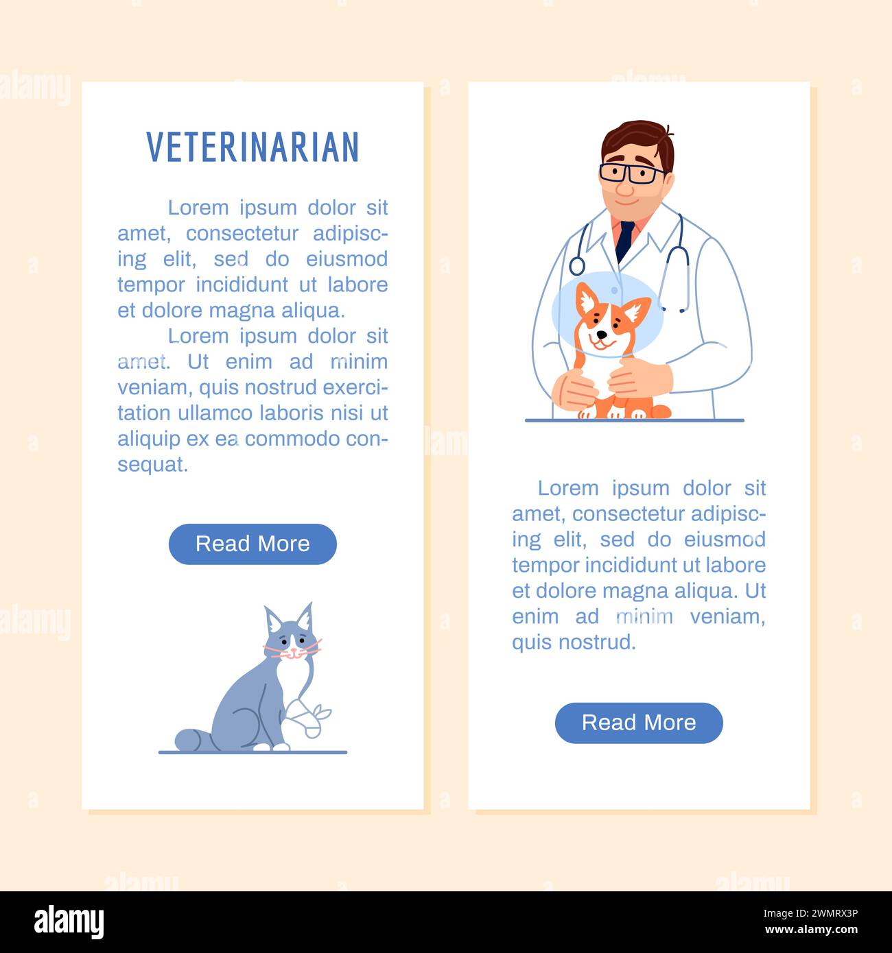 Veterinary medicine flyer or vertical banner Stock Vector Image & Art ...