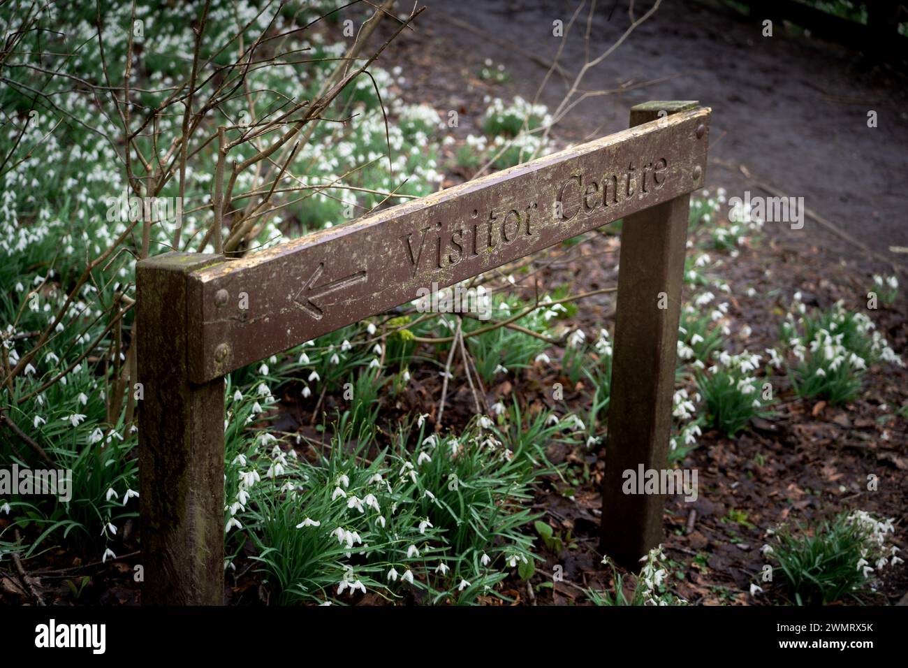 Calderglen country hi-res stock photography and images - Alamy
