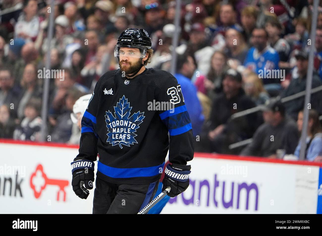 Toronto Maple Leafs defenseman Timothy Liljegren (37) in the first ...