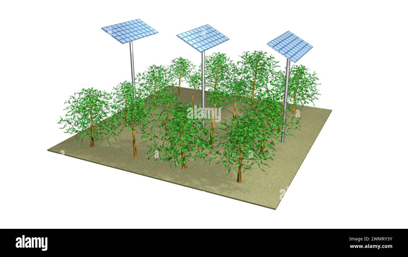 Agrivoltaics - solar tech with agriculture. Solar panels technology on ...