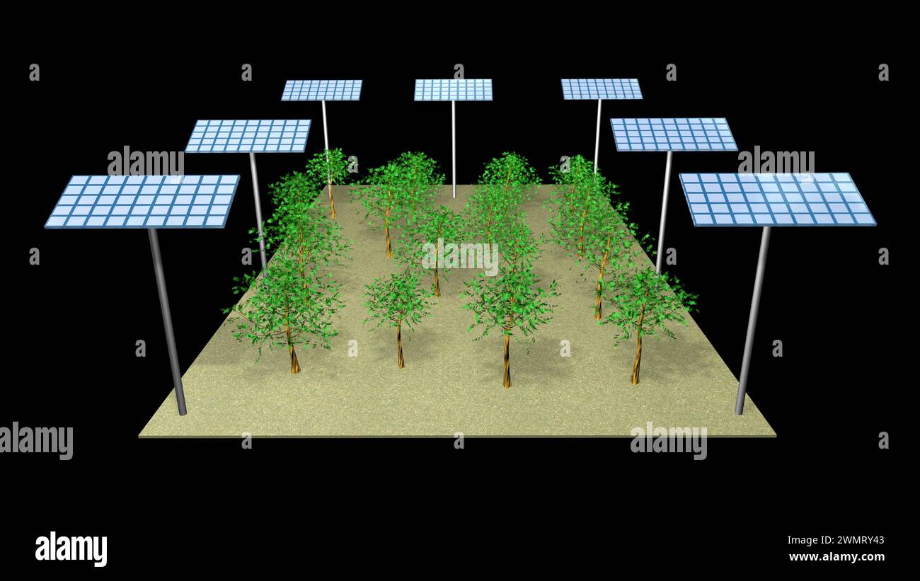 Agrisolar hi-res stock photography and images - Alamy