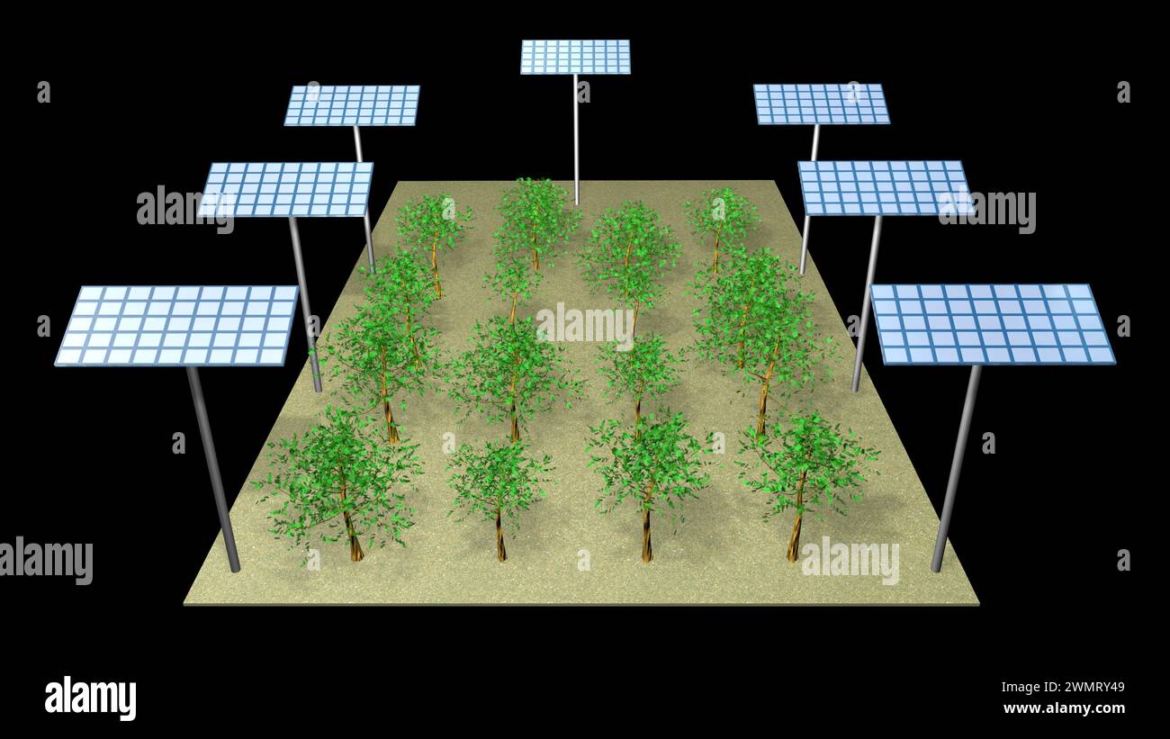 Agrivoltaics - solar tech with agriculture. Solar panels technology on ...