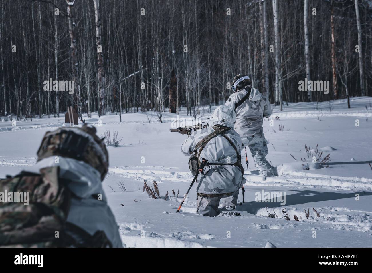 A group of Green Berets assigned to 10th Special Forces Group (Airborne ...