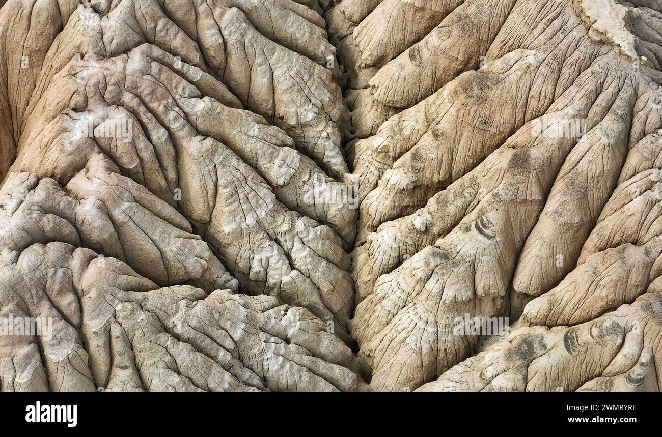 NGARI, CHINA - FEBRUARY 27, 2024 - Aerial photo taken on February 27 ...