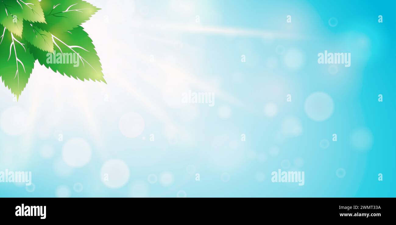 sunny spring day. Spring banner. Spring is coming.Spring morning. Fresh ...
