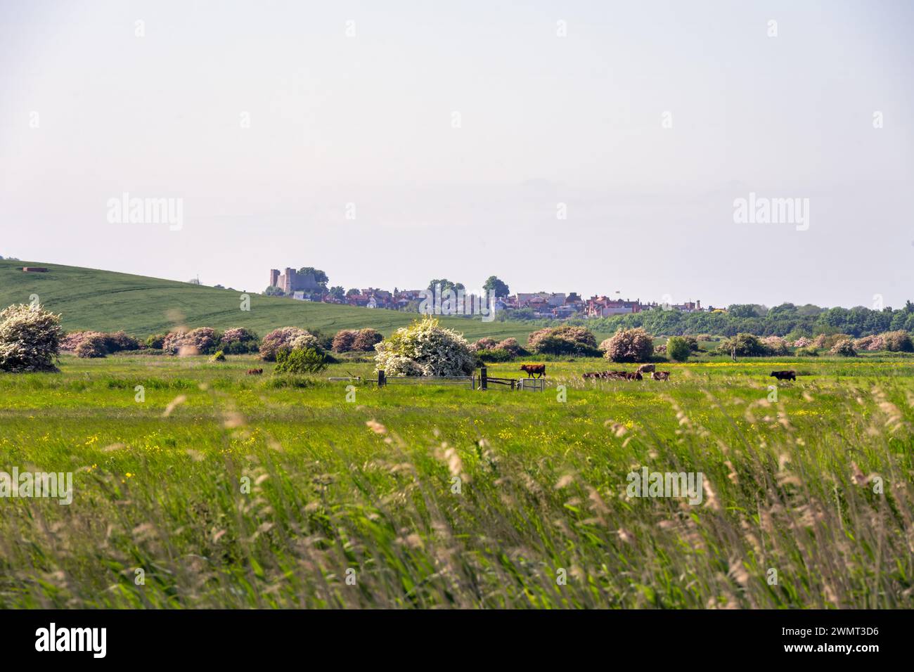 Walking in East Sussex, England, in spring, view of the countryside and ...