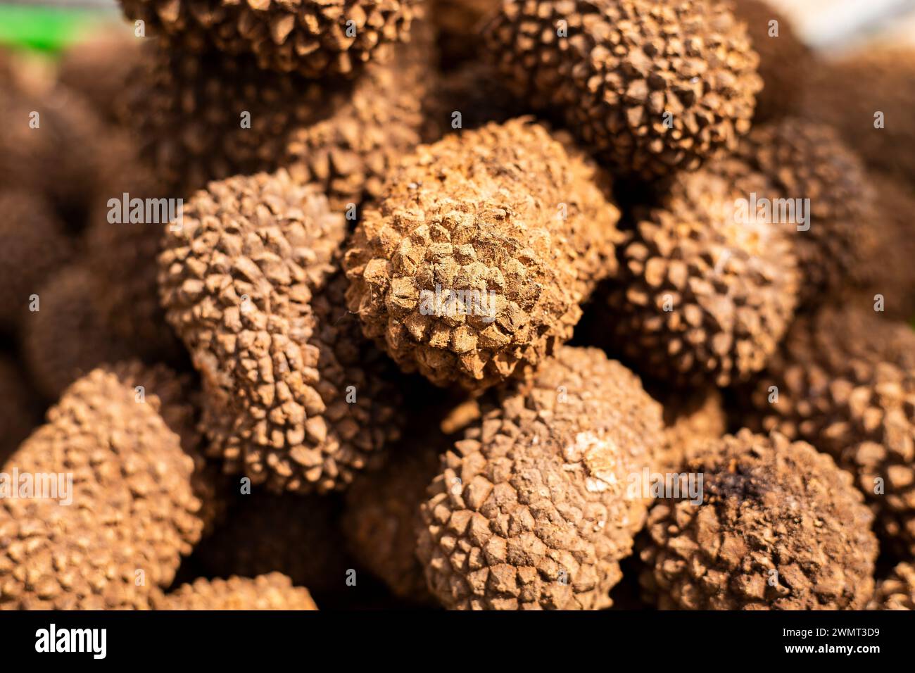 Healing fruit hi-res stock photography and images - Alamy