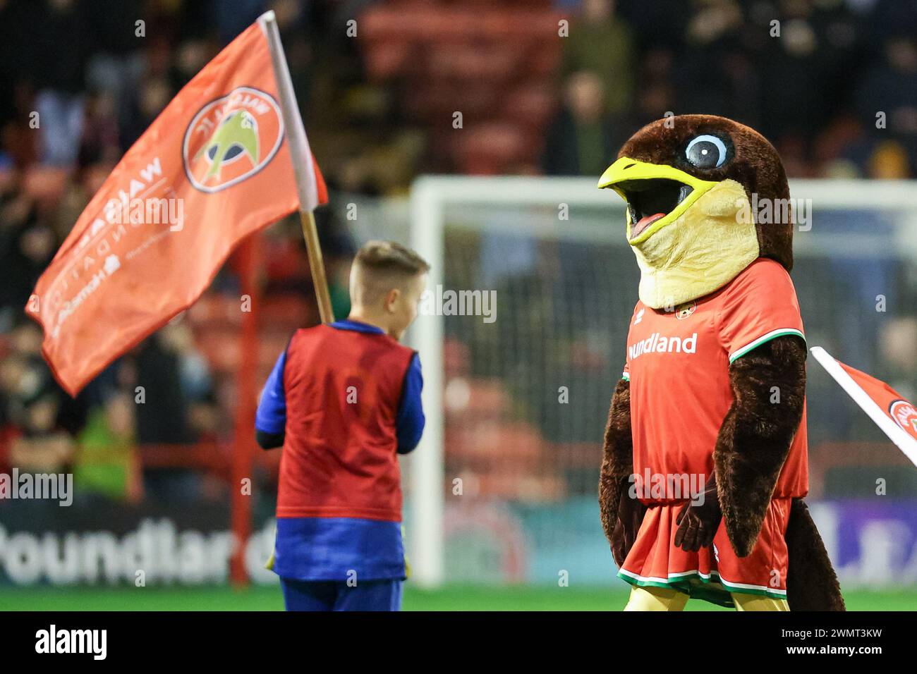 Walsall, UK. 27th Feb, 2024. Walsall's mascot, Swifty taken during the ...