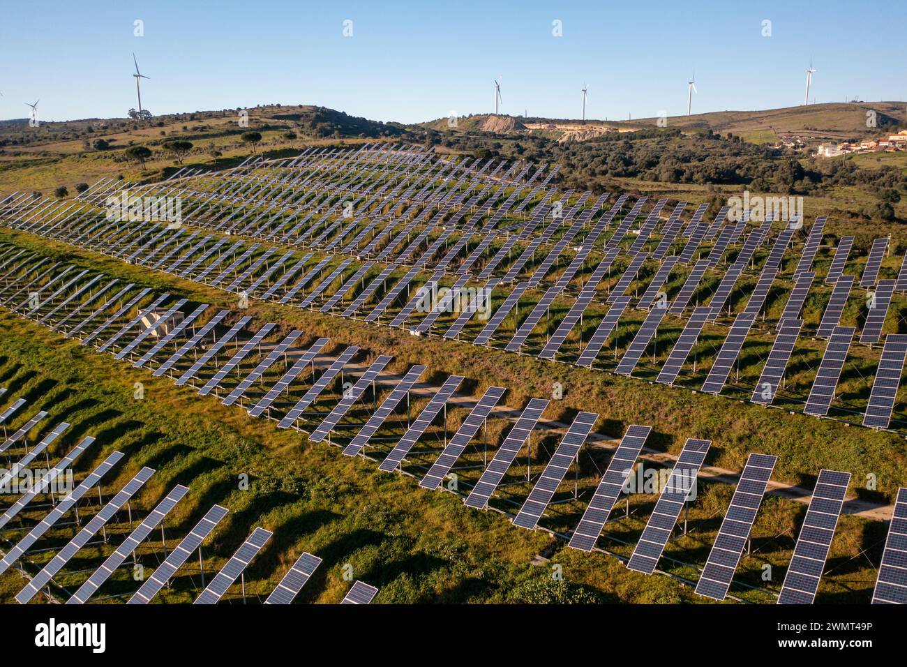Long rows of photovoltaic panels at solar farm for converting energy of ...