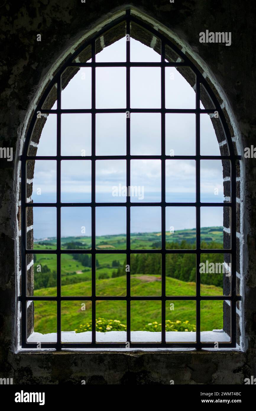Window of an old castle in iron bars with a background view to green ...