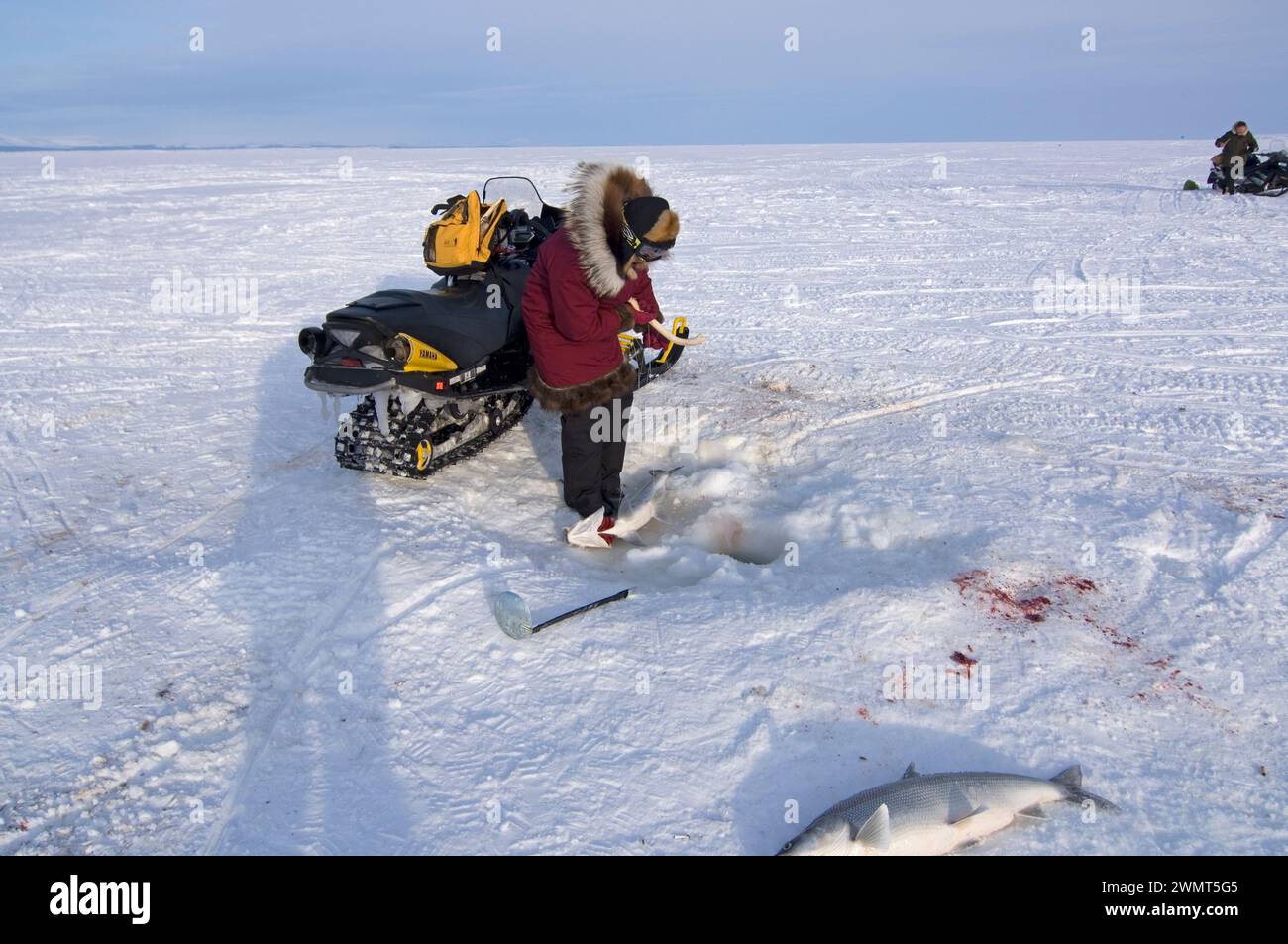 Native Inupiaq Alaskan women ice fishing for sheefish on Kotzebue sound ...
