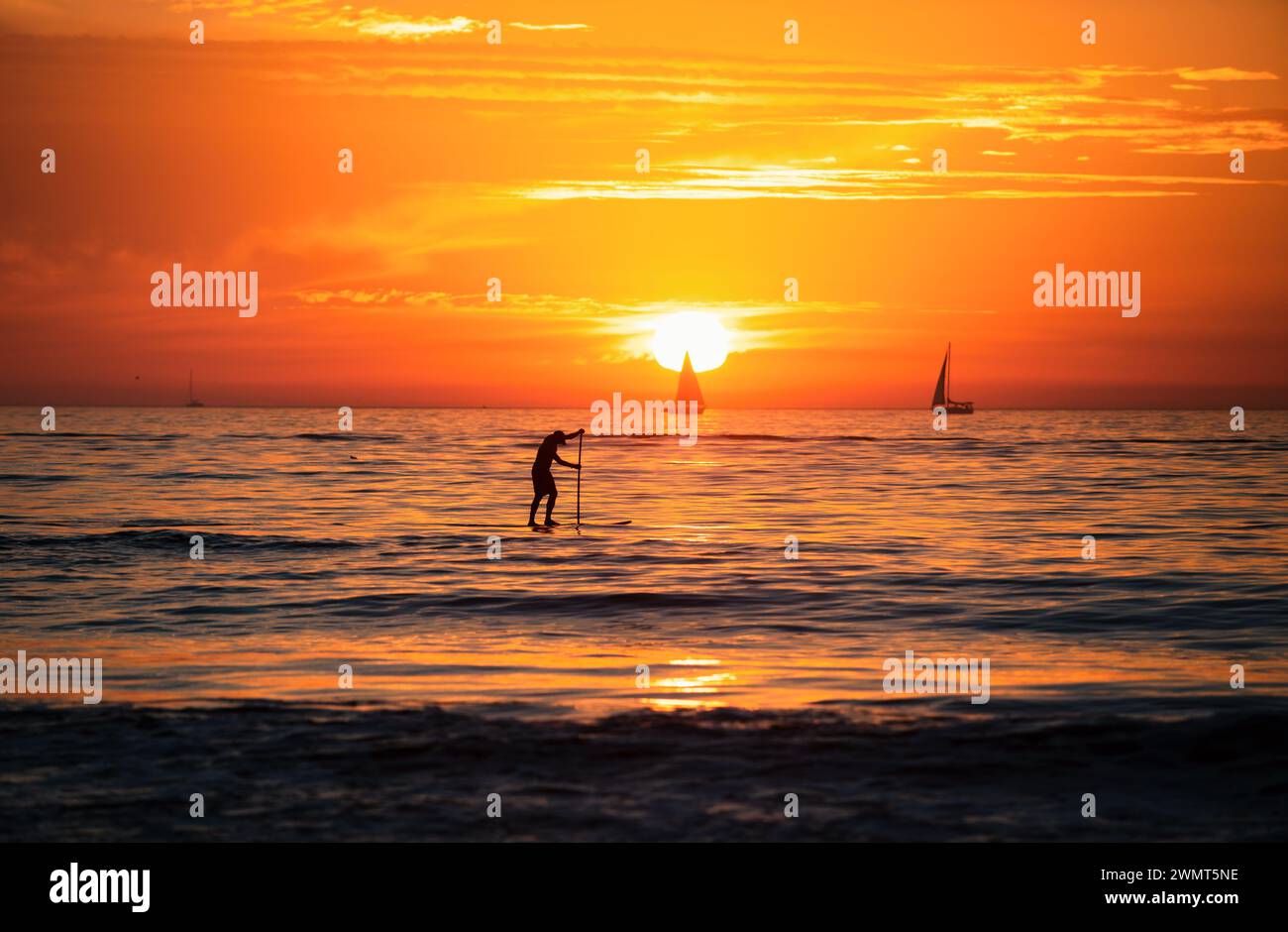Paddle boarding barbados hi-res stock photography and images - Alamy