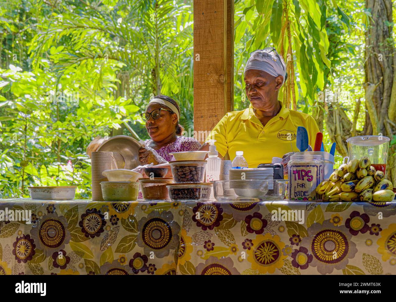 Guides at a Chocolate Processing Demonstration Stock Photo - Alamy