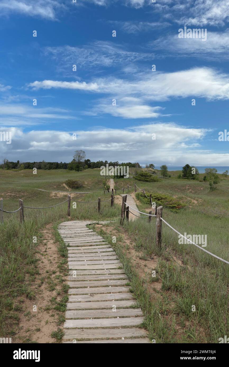 A boardwalk through sand dunes with grasses, shrubs and trees along ...