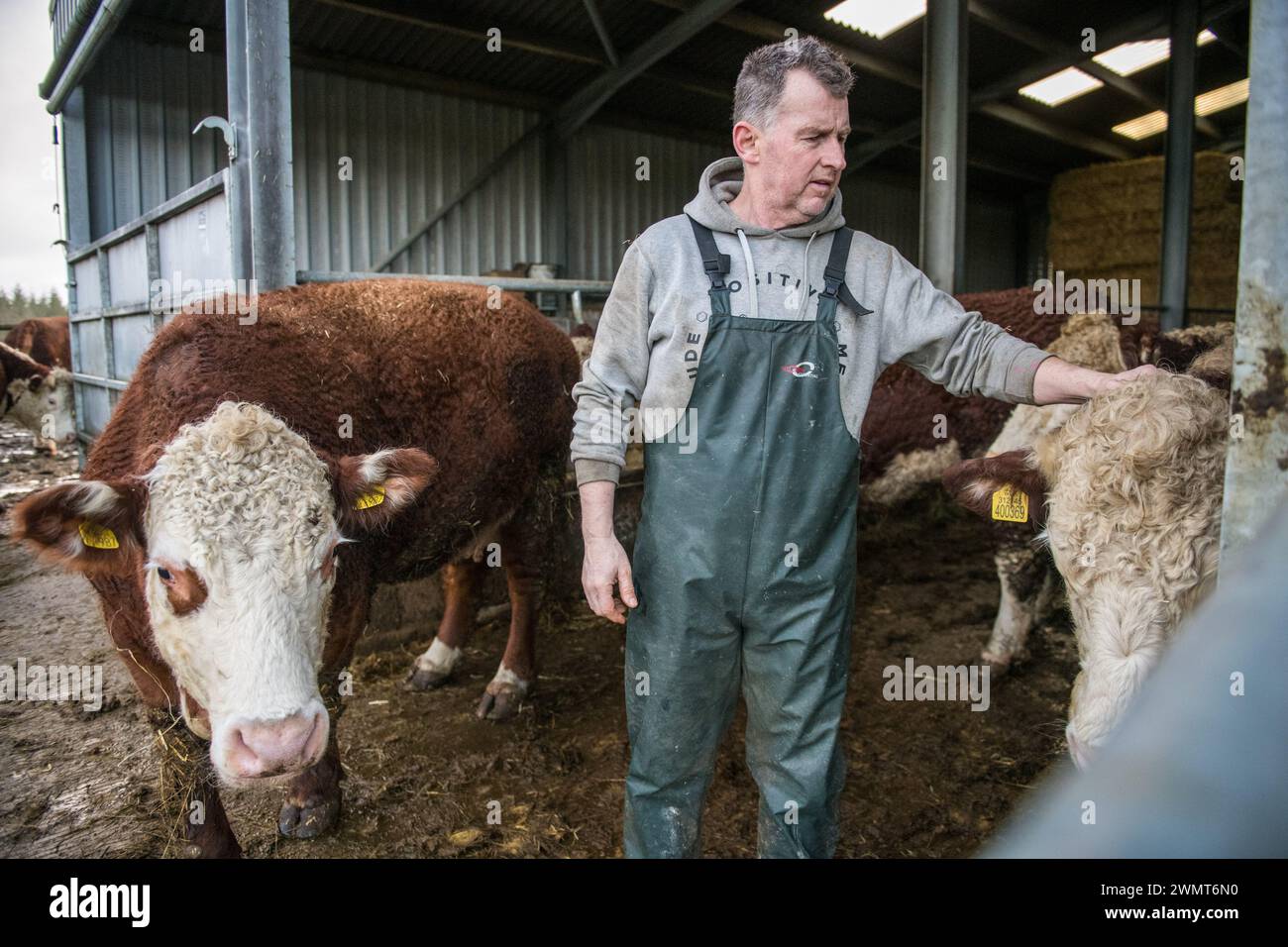 16th February 2024, Pontyberem, Wales. Former international rugby ...