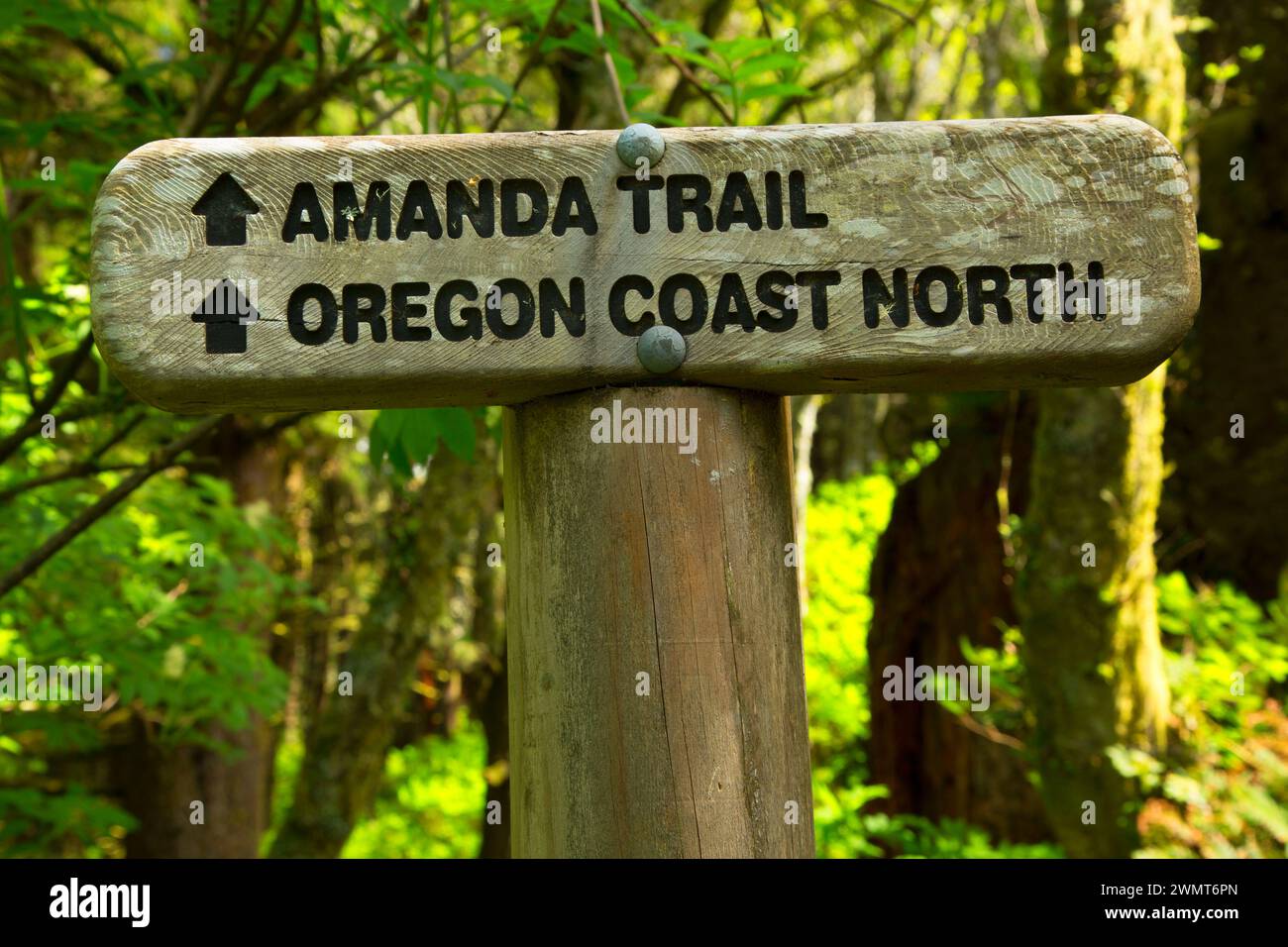 Trail sign along Amanda's Trail, Cape Perpetua Scenic Area, Siuslaw ...
