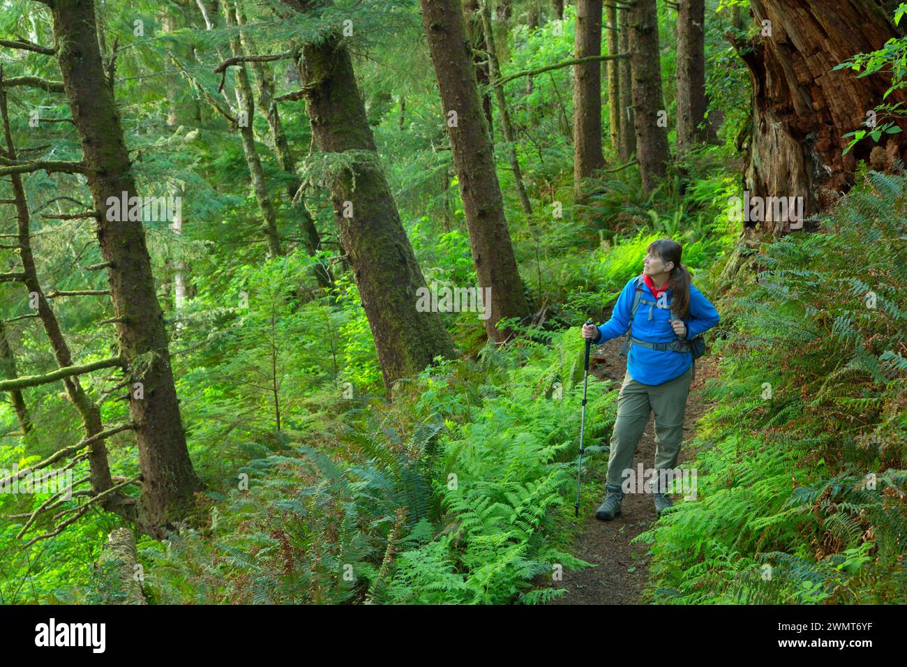 Amanda's Trail, Cape Perpetua Scenic Area, Siuslaw National Forest ...