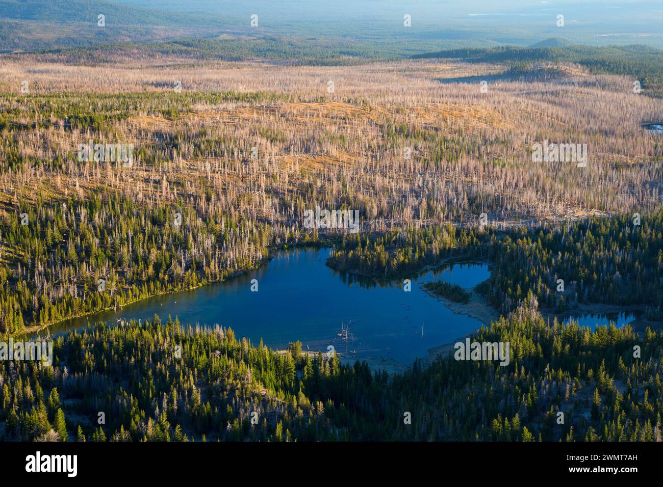 Little Three Creek Lake from Tam McArthur Rim Trail, Three Sisters ...