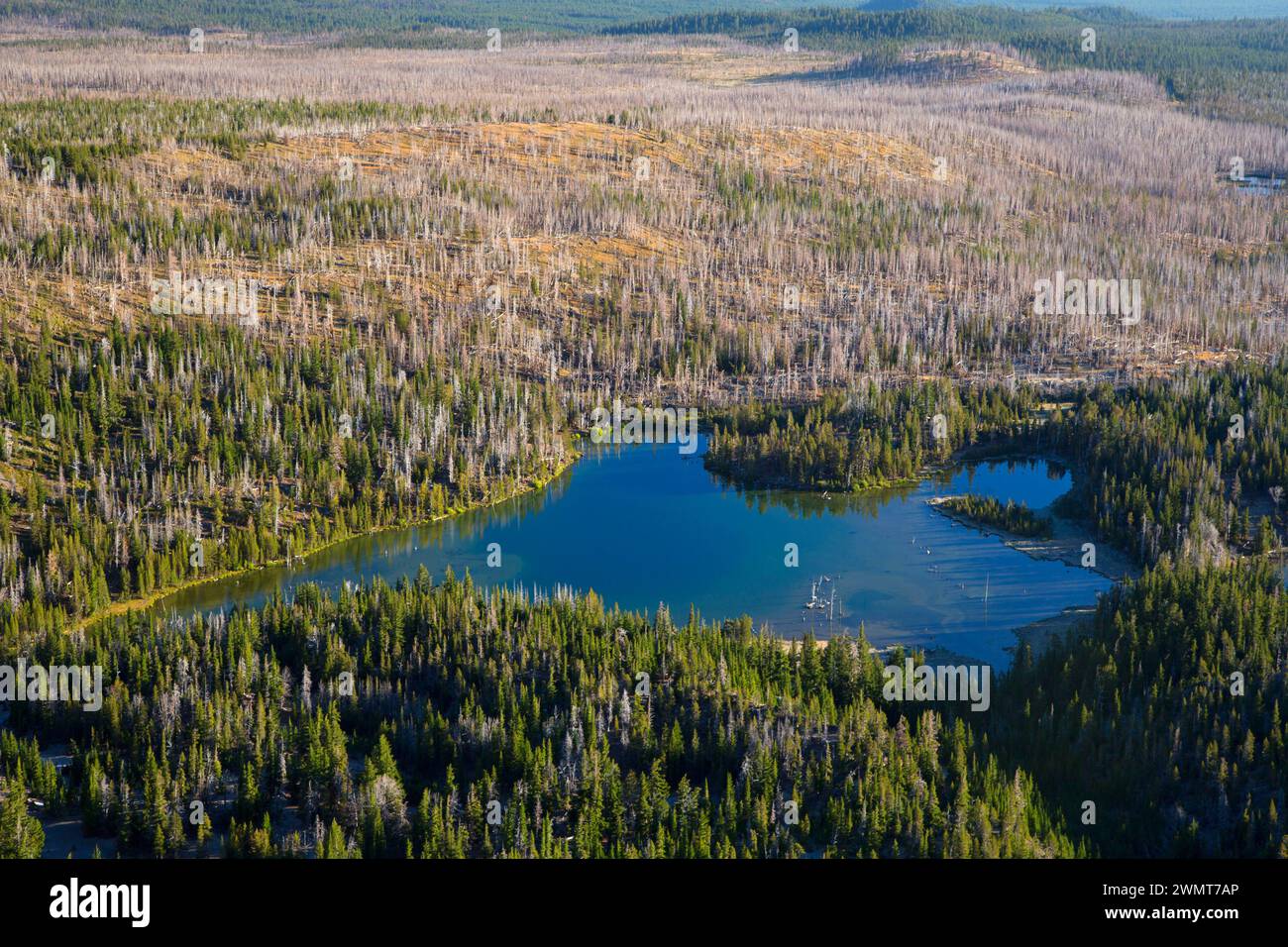 Little Three Creek Lake from Tam McArthur Rim Trail, Three Sisters ...