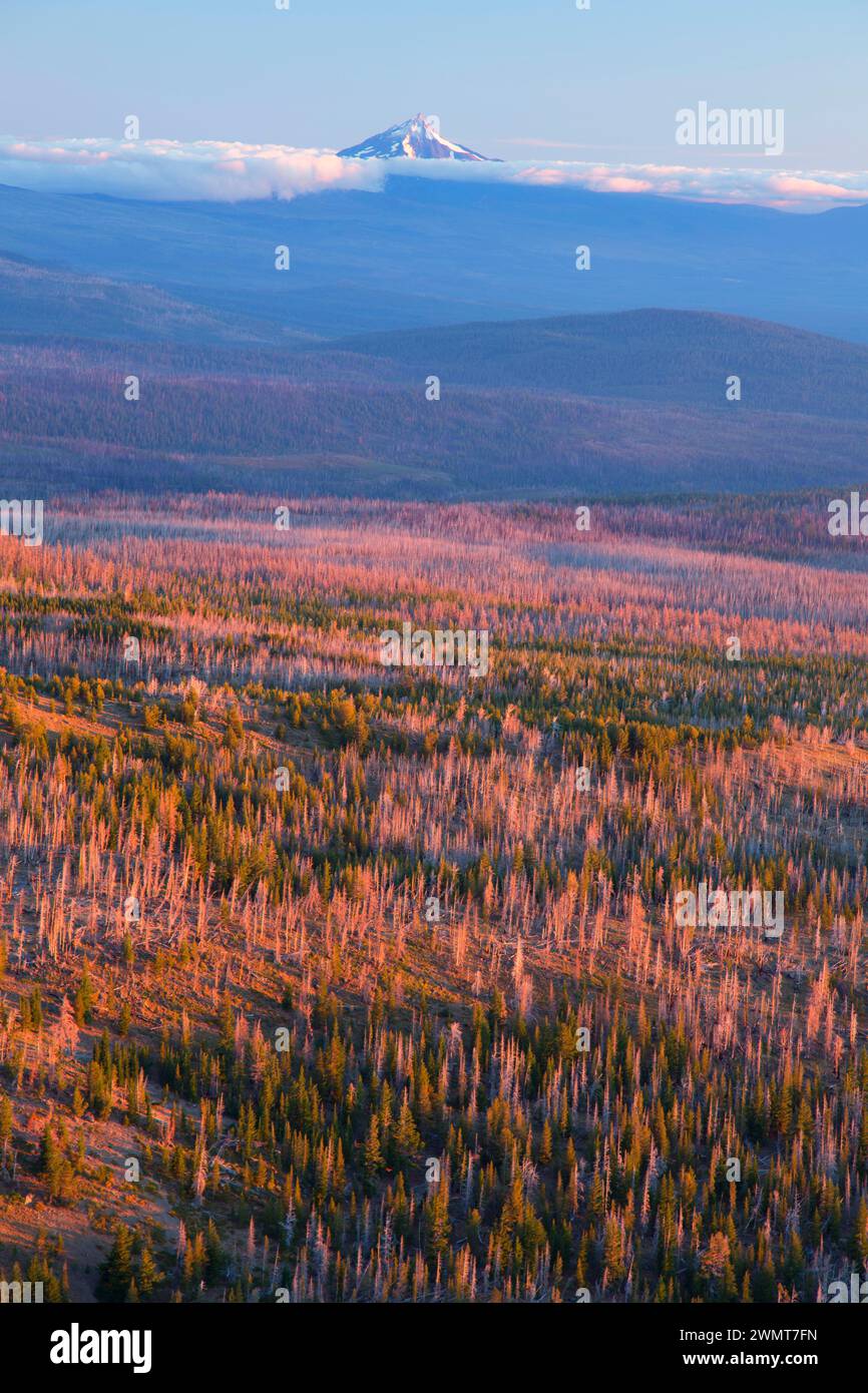 Tam mcarthur trail hi-res stock photography and images - Alamy