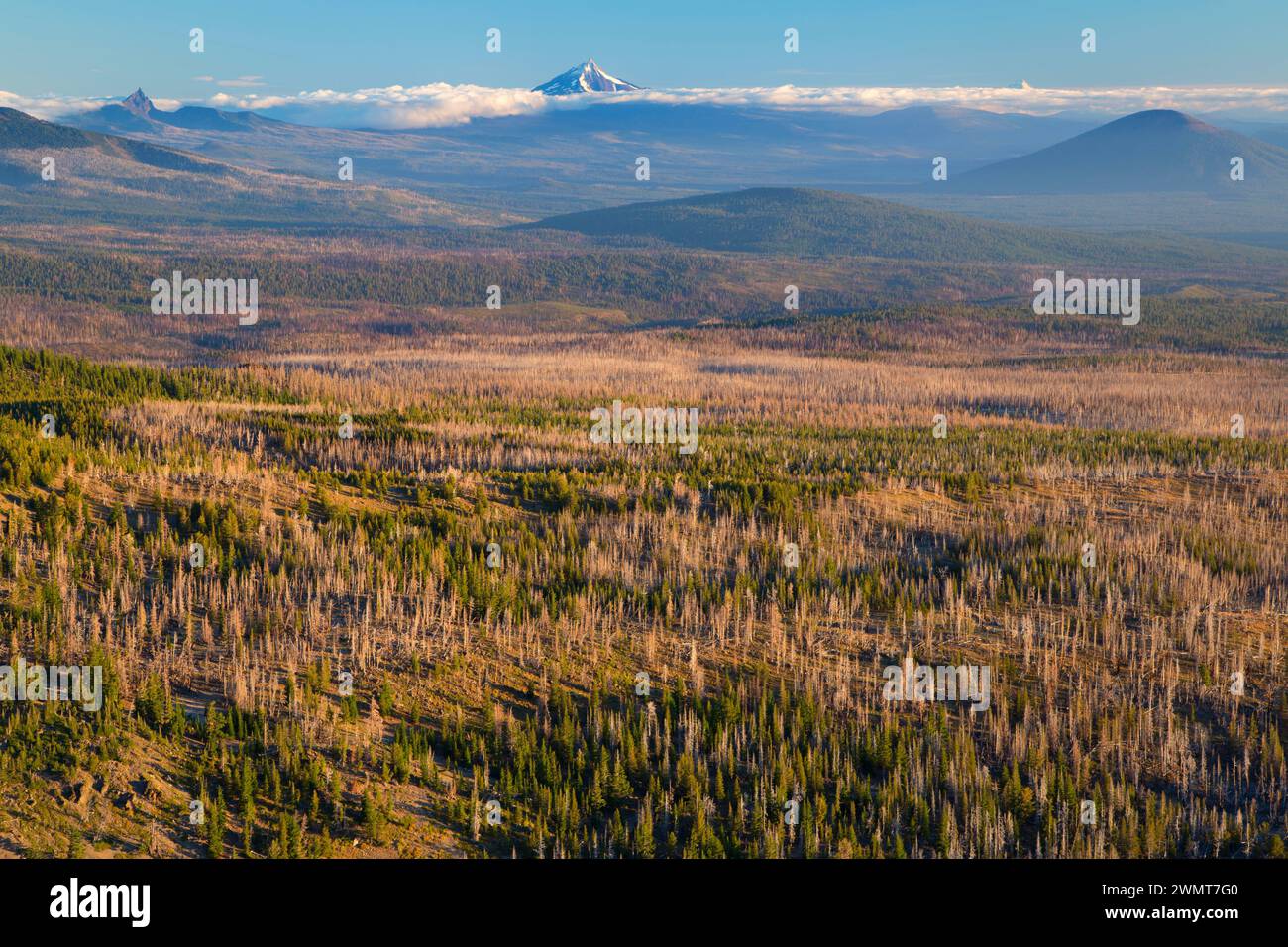 Tam mcarthur trail hi-res stock photography and images - Alamy