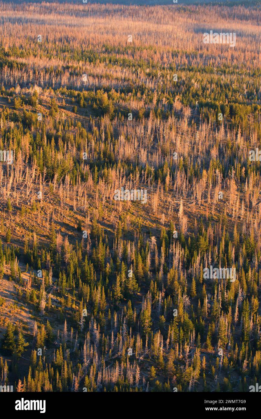 Tam mcarthur trail hi-res stock photography and images - Alamy