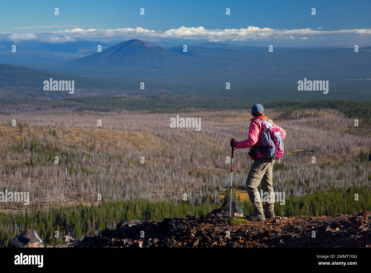 Forest view from Tam McArthur Rim Trail, Three Sisters Wilderness ...