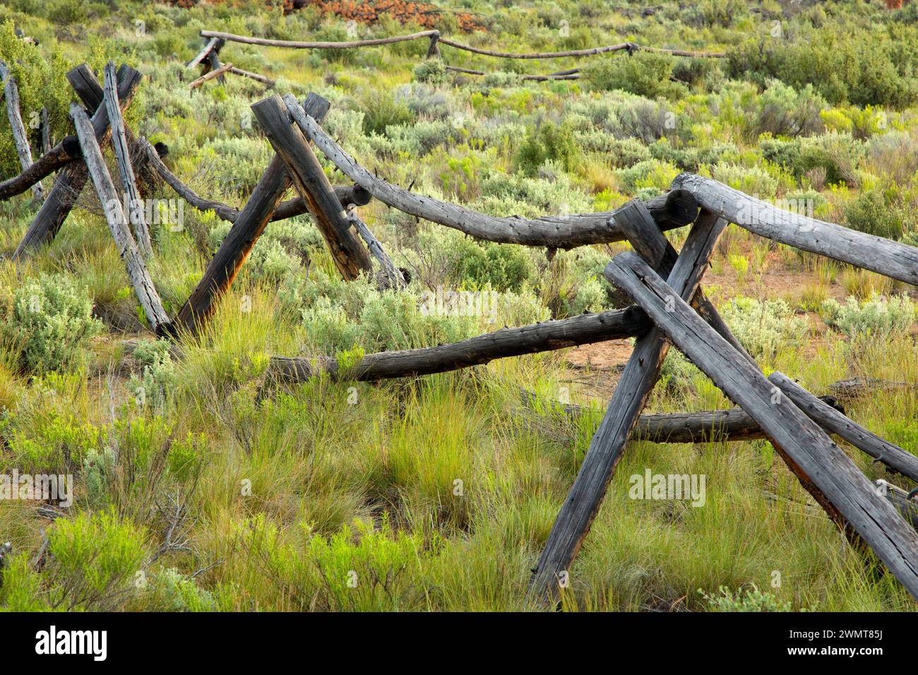 Pole fence near Cabin Lake, Deschutes National Forest, Oregon Stock ...