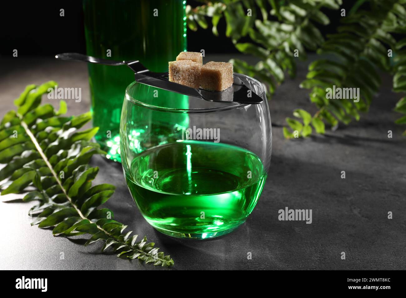 Absinthe in glass, spoon, brown sugar cubes and fern leaves on gray ...