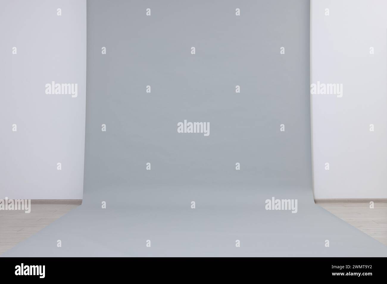 Modern light grey photo background. Professional studio equipment Stock ...